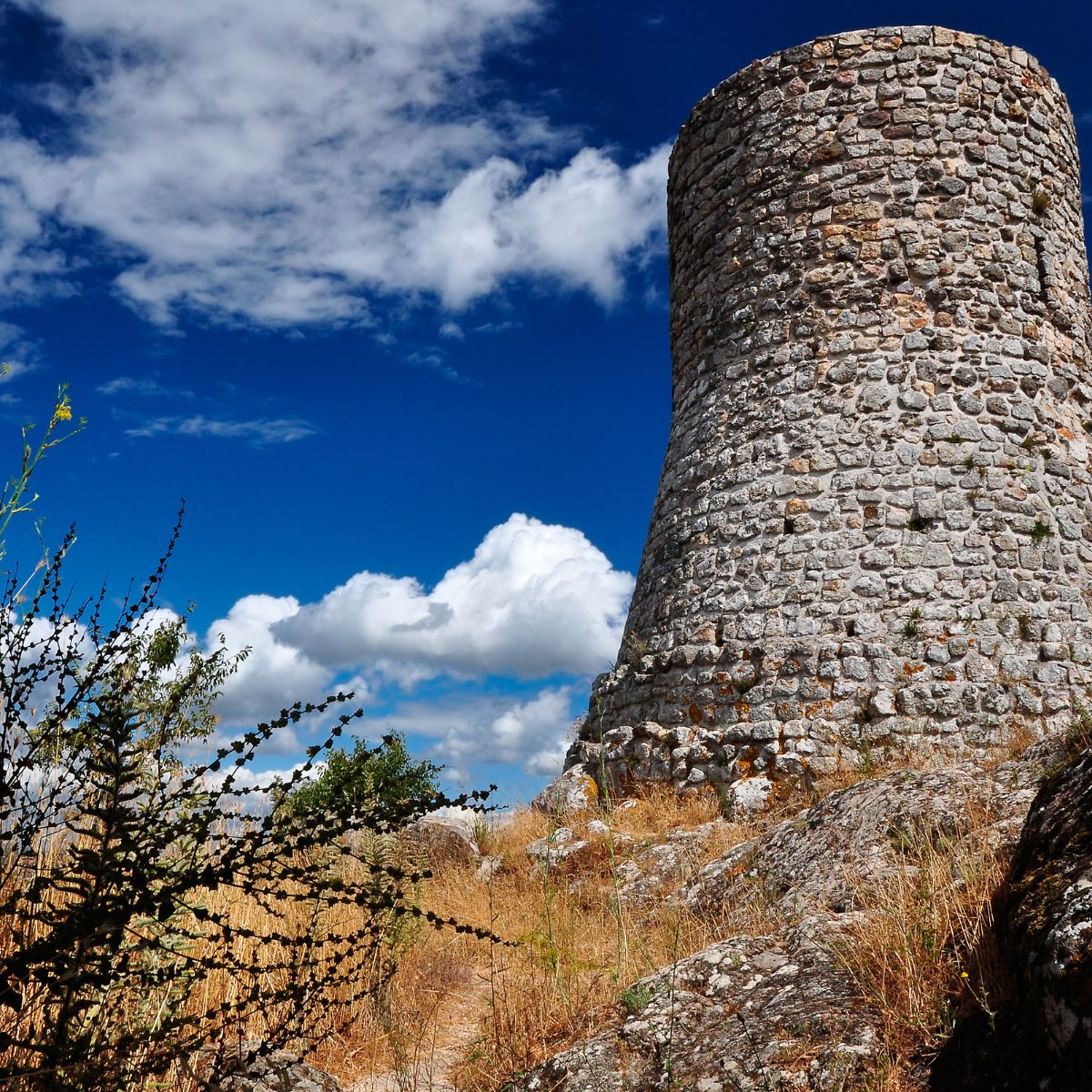 Un'avventura estiva in moto Honda da Roma a Tolfa | Nardini Honda